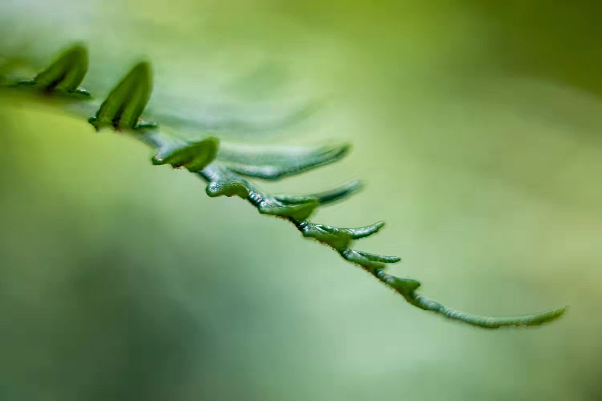 The Essential Guide to Positive Space in Photography – EMART®| Expert ...